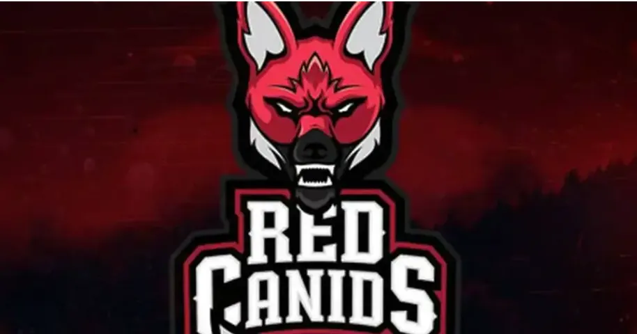 PGL CS2 Major Americas RMR: Dominant Performances by M80 and RED Canids